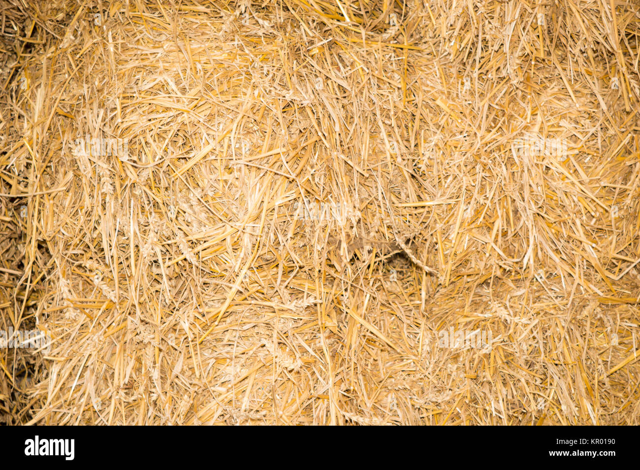 Straw litter -Fotos und -Bildmaterial in hoher Auflösung – Alamy