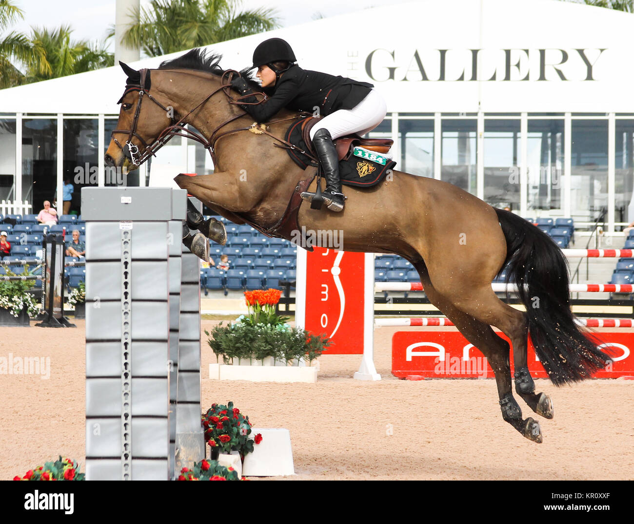 WELLINGTON, FL - 26. Januar: Jessica Springsteen l participtaes in der ...