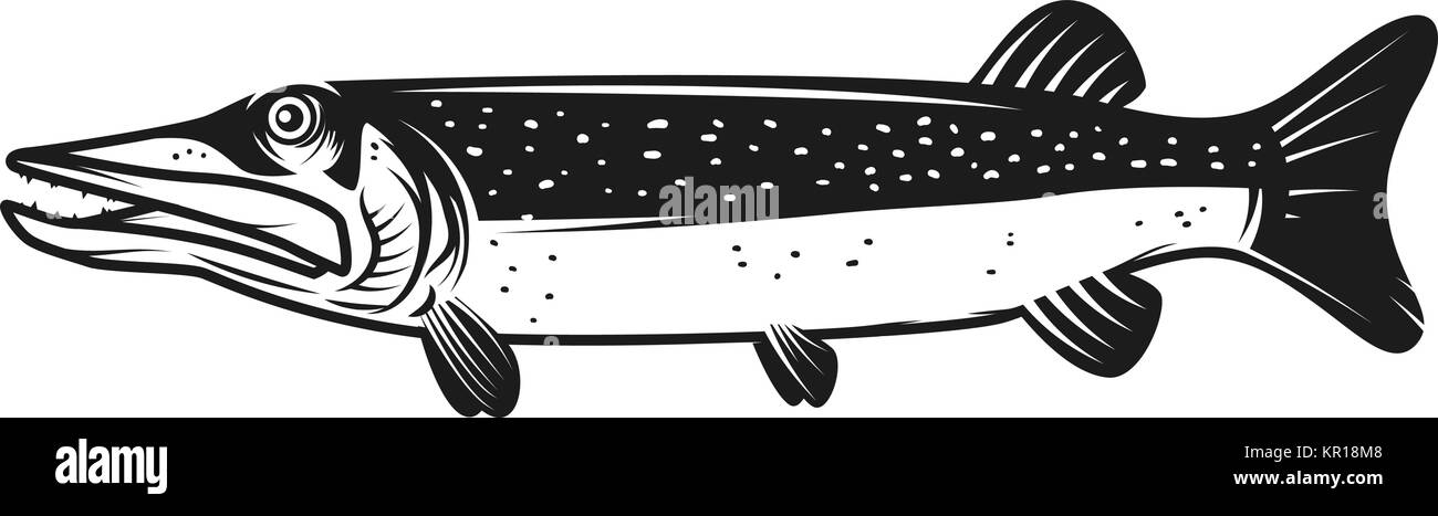 Hecht fisch Symbol auf weißem Hintergrund. Design Element für Logo ...