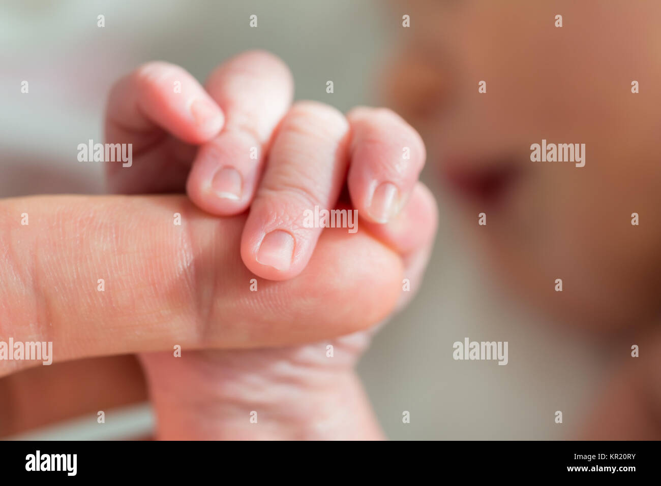 Live birth -Fotos und -Bildmaterial in hoher Auflösung – Alamy