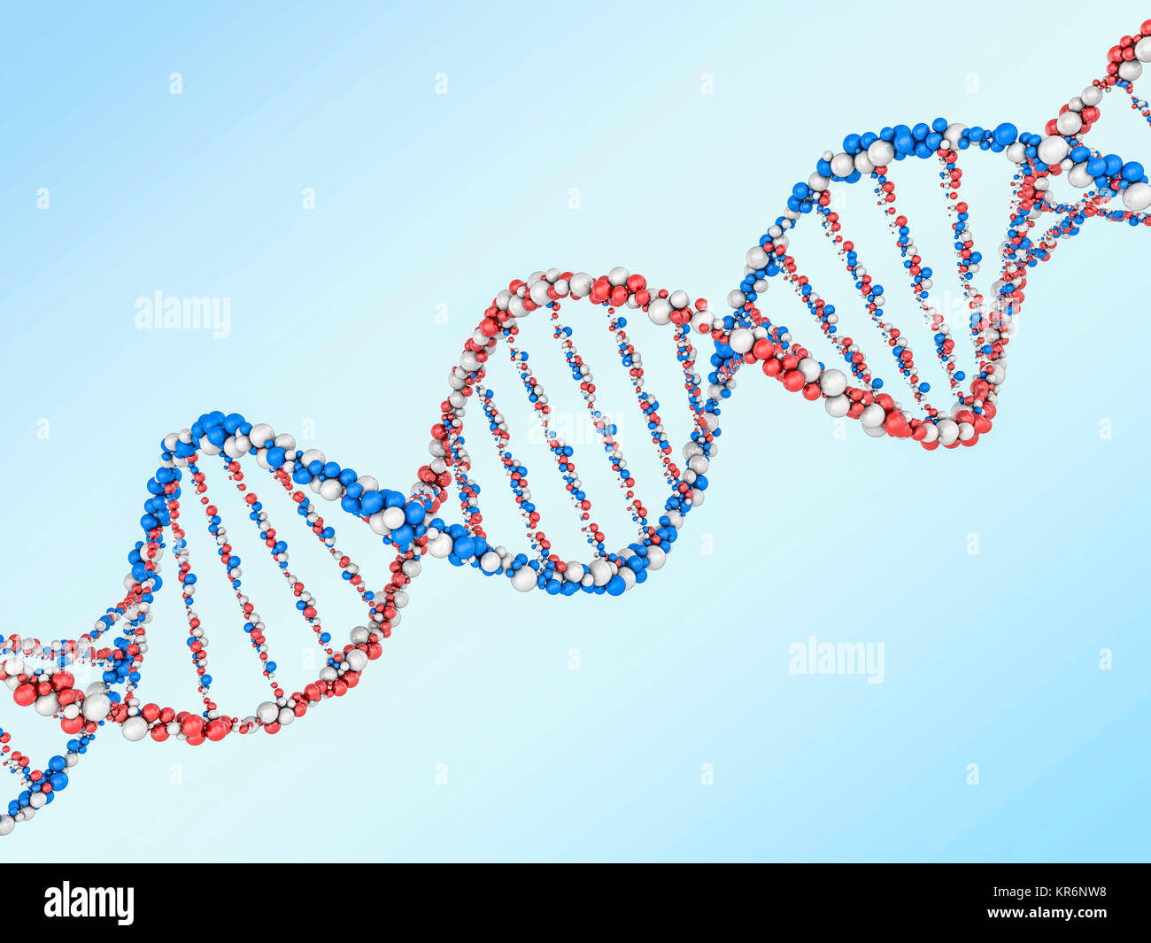 Dna model -Fotos und -Bildmaterial in hoher Auflösung – Alamy