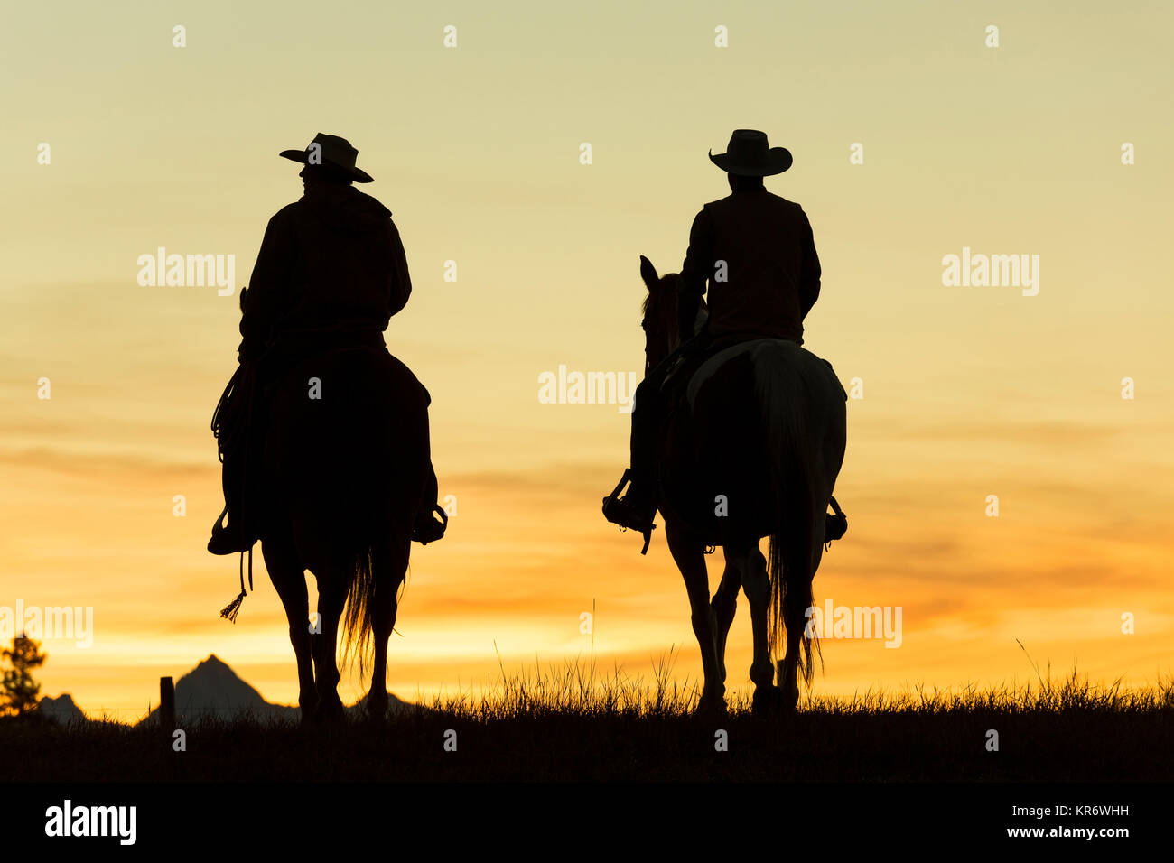 Two cowboys -Fotos und -Bildmaterial in hoher Auflösung – Alamy