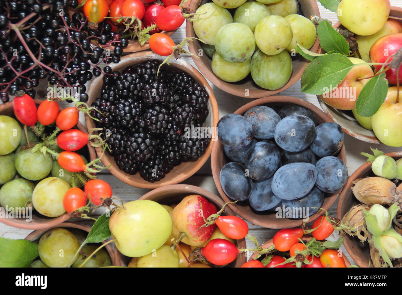 Herbst Obst, Beeren und Nüsse (Brombeeren, Schlehen, crabapples, cob ...