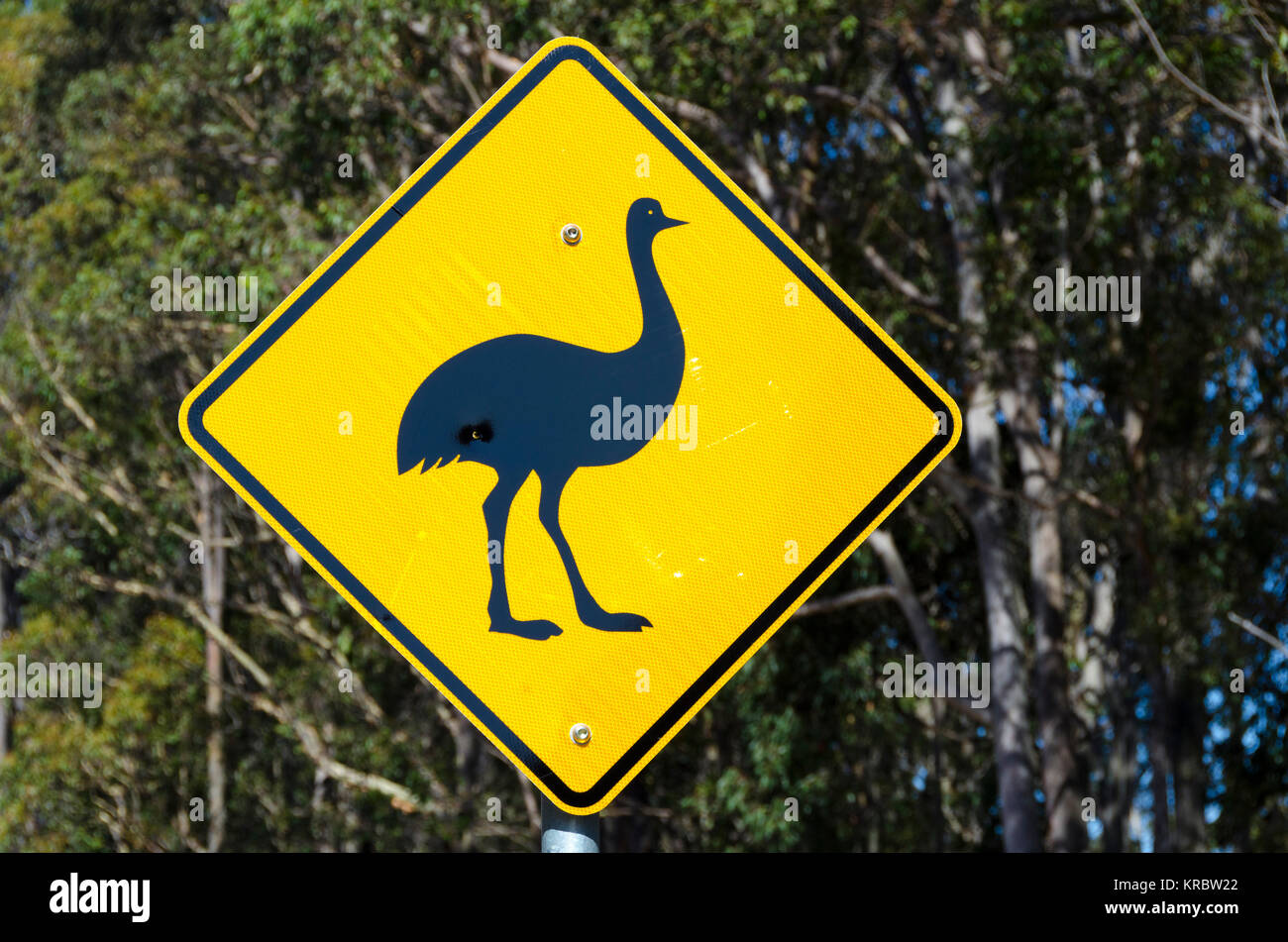 Verkehrsschild emu australien -Fotos und -Bildmaterial in hoher ...