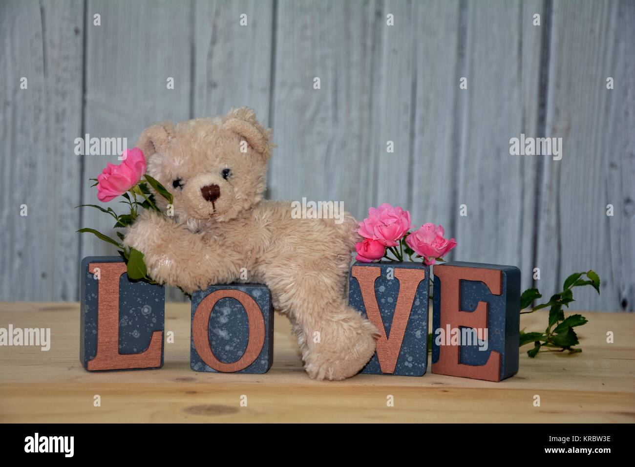 Weißer Teddybär liegt auf Würfel mit dem Wort Liebe und Rosen ...