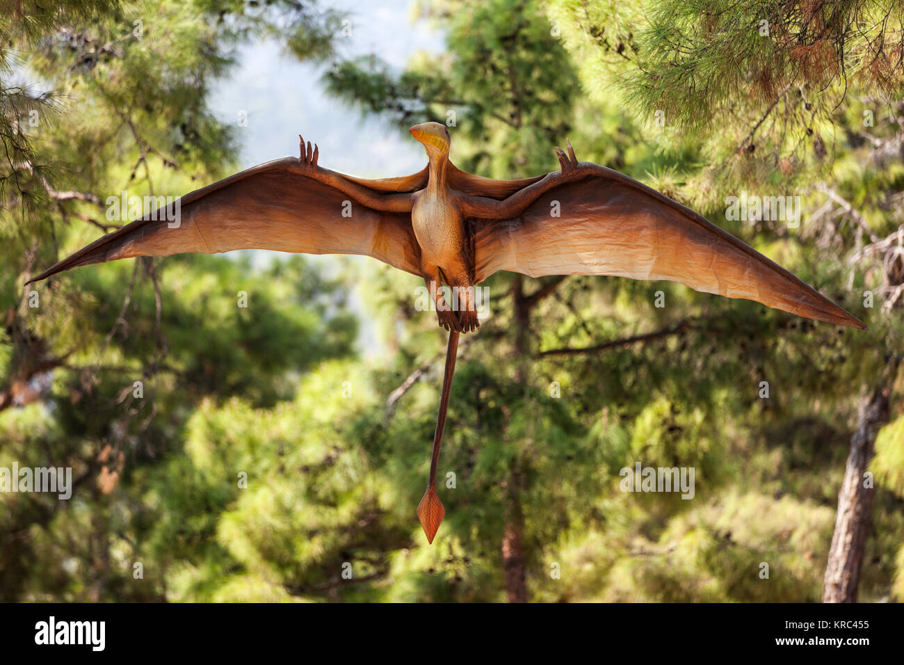 Pterodactyl - Prähistorische Epoche Flügel Dinosaurier im Wald fliegen ...