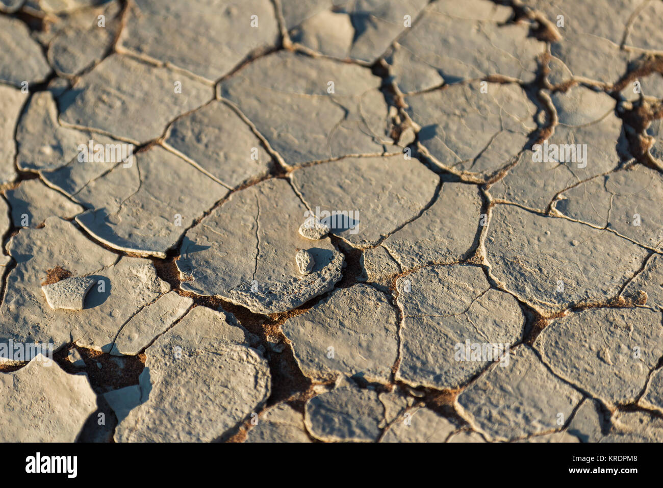Vertrockneter Lehm, Muster, Deadvlei, Sossusvlei Gebiet, Namibwüste ...