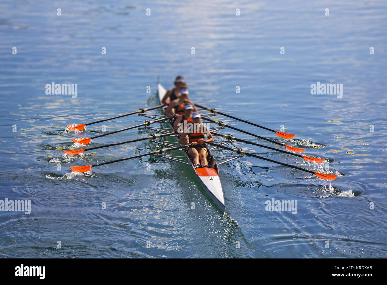 Team von Rudern Vier - oar Frauen im Boot Stockfotografie - Alamy