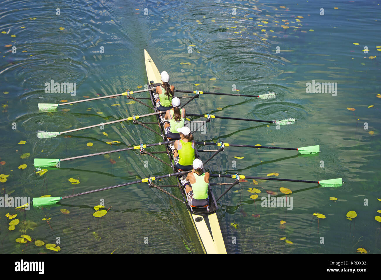 Team von Rudern Vier - oar Frauen im Boot Stockfotografie - Alamy