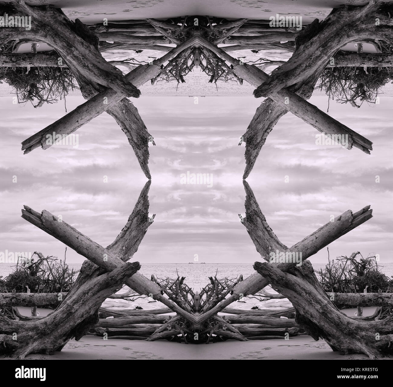 Spiegelsymmetrie Bild von treibholz am Strand Stockfotografie - Alamy
