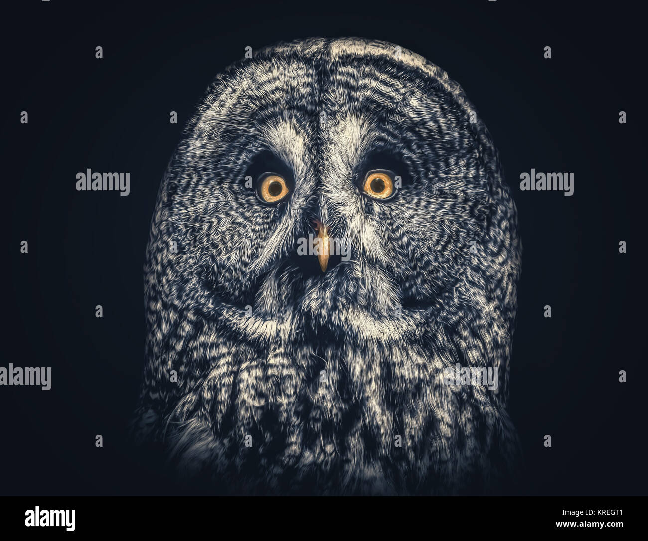 Fluffy owl -Fotos und -Bildmaterial in hoher Auflösung – Alamy