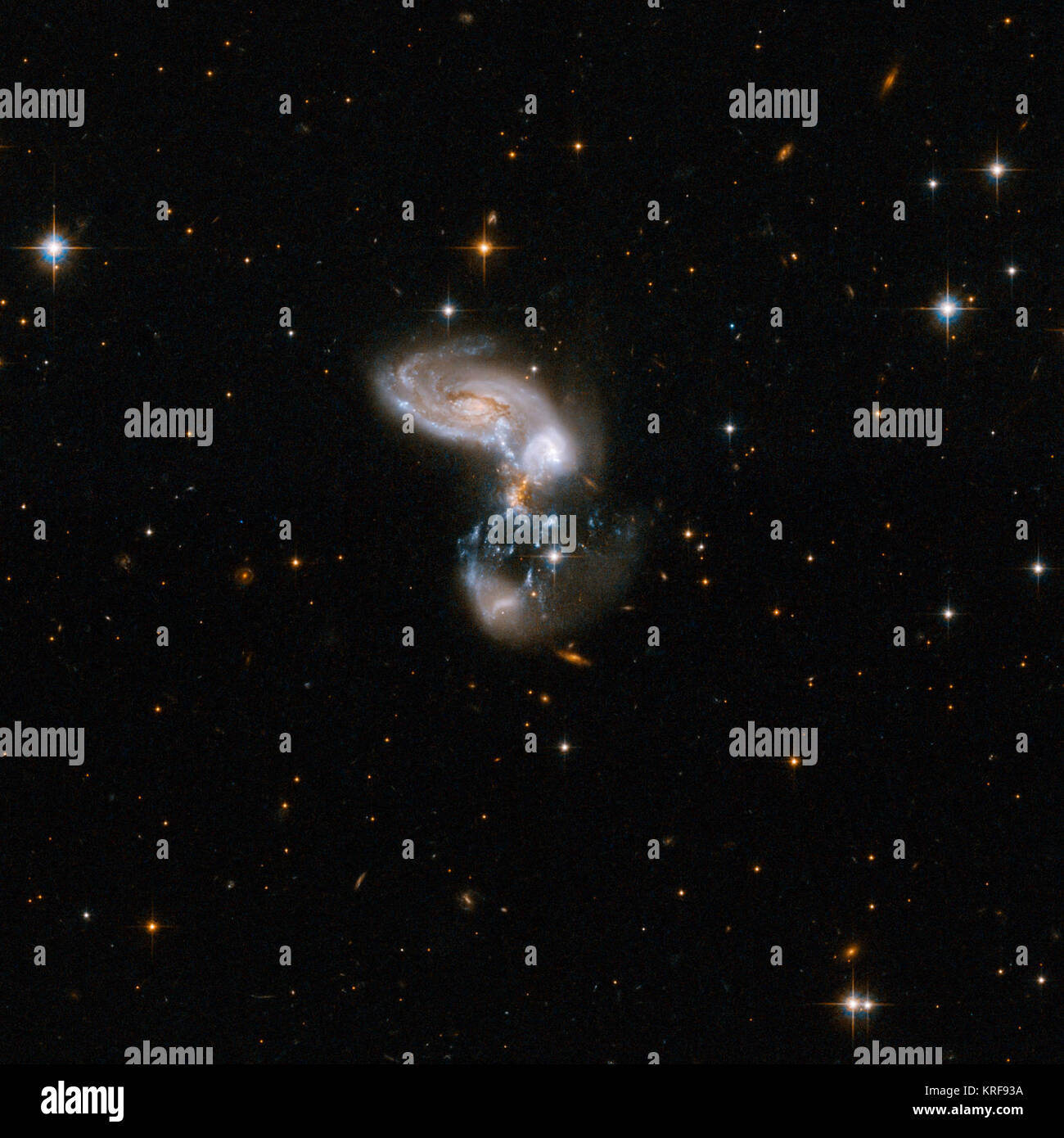 La galaxy ii -Fotos und -Bildmaterial in hoher Auflösung – Alamy