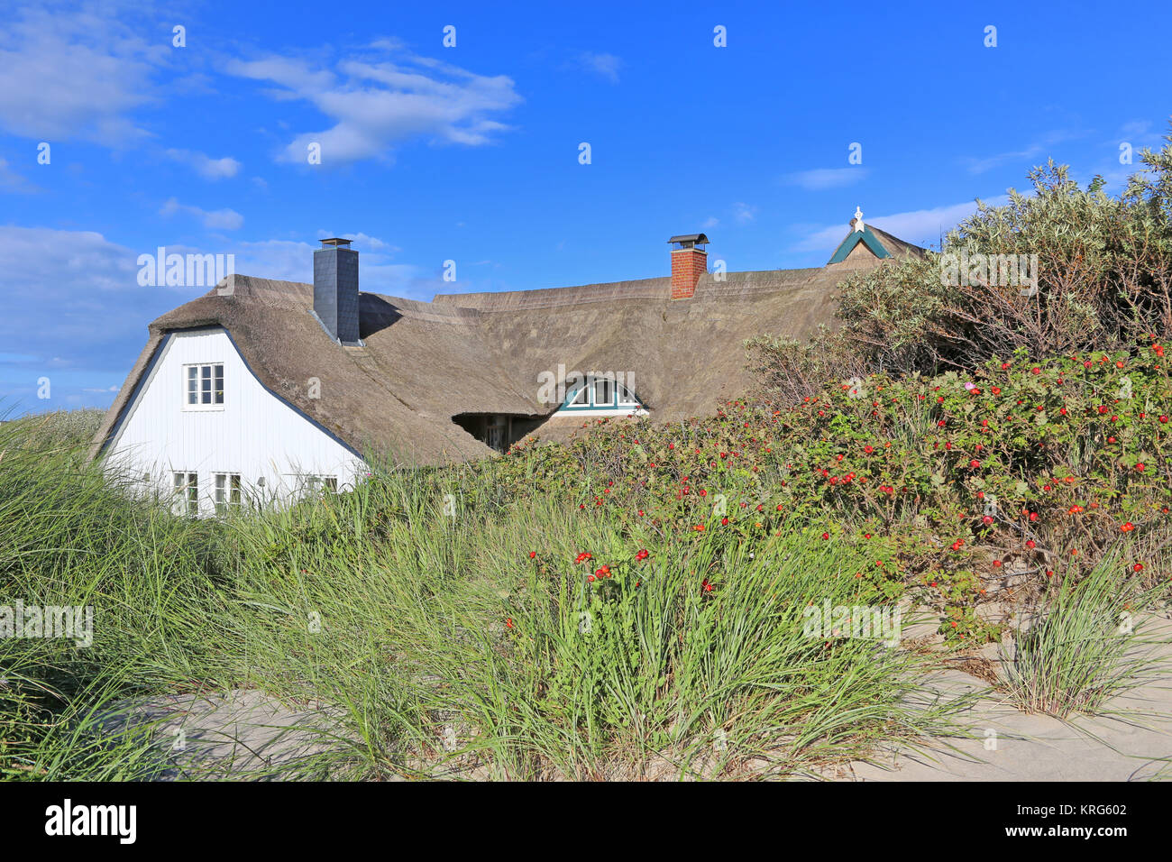 Reetdachhaus am strand von ahrenshoop -Fotos und -Bildmaterial in hoher ...
