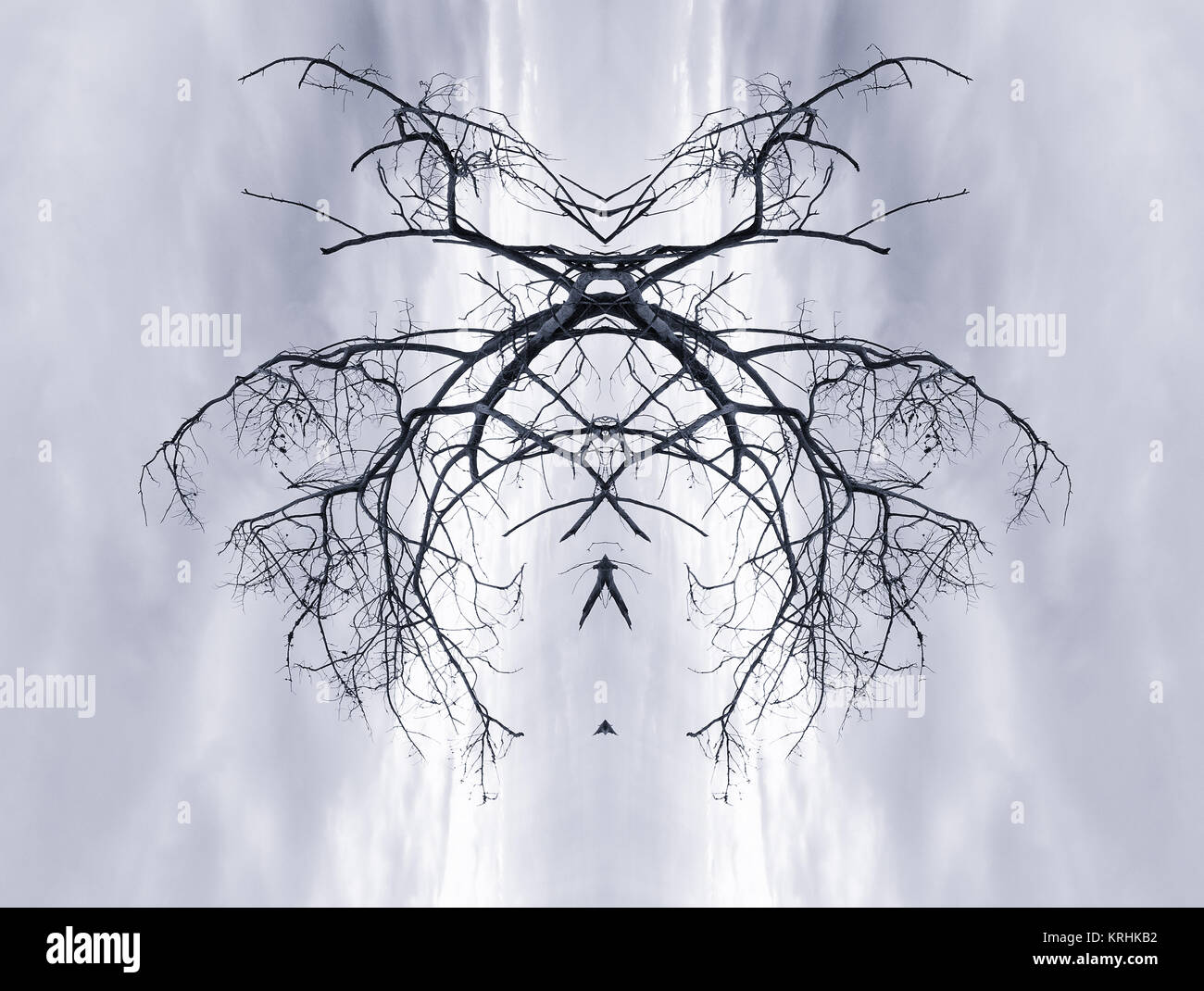 Spiegelsymmetrie Bild von treibholz am Strand Stockfotografie - Alamy