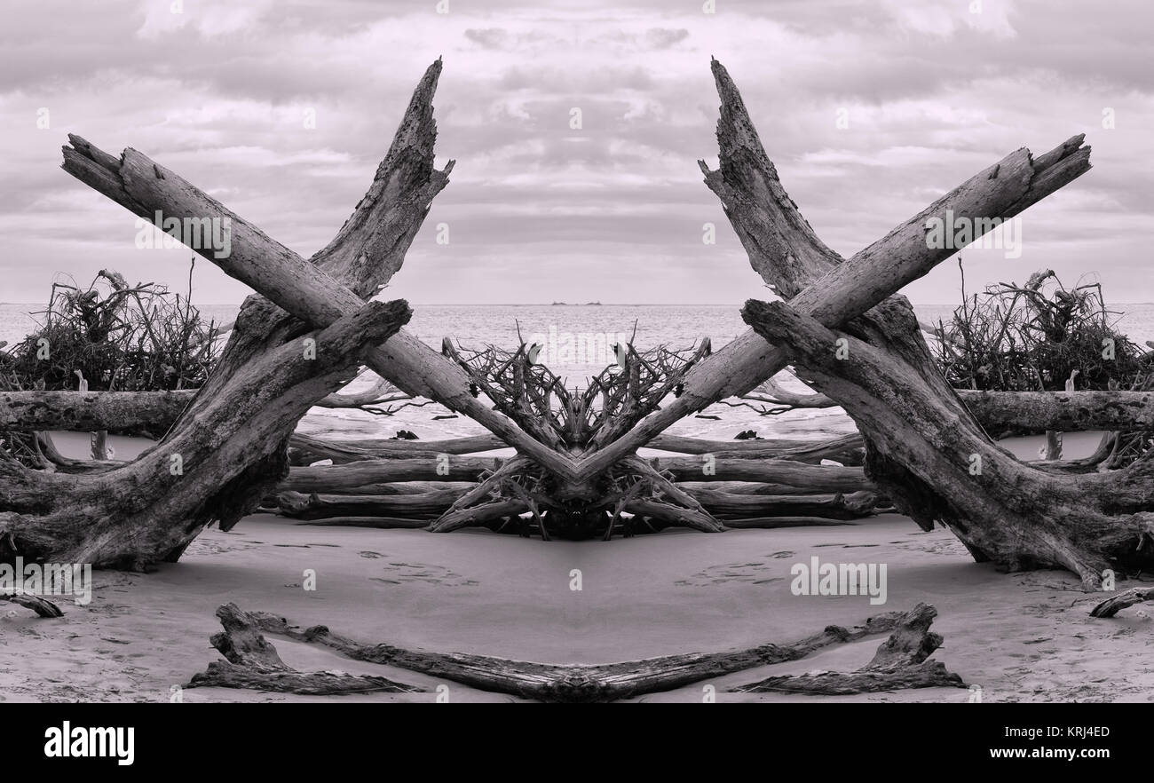 Spiegelsymmetrie Bild von treibholz am Strand Stockfotografie - Alamy