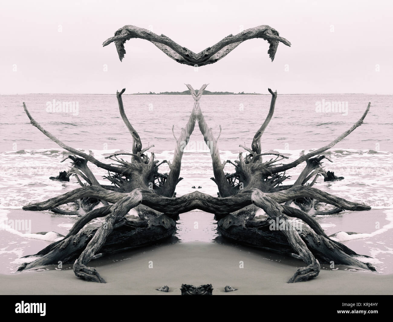 Spiegelsymmetrie Bild von treibholz am Strand Stockfotografie - Alamy