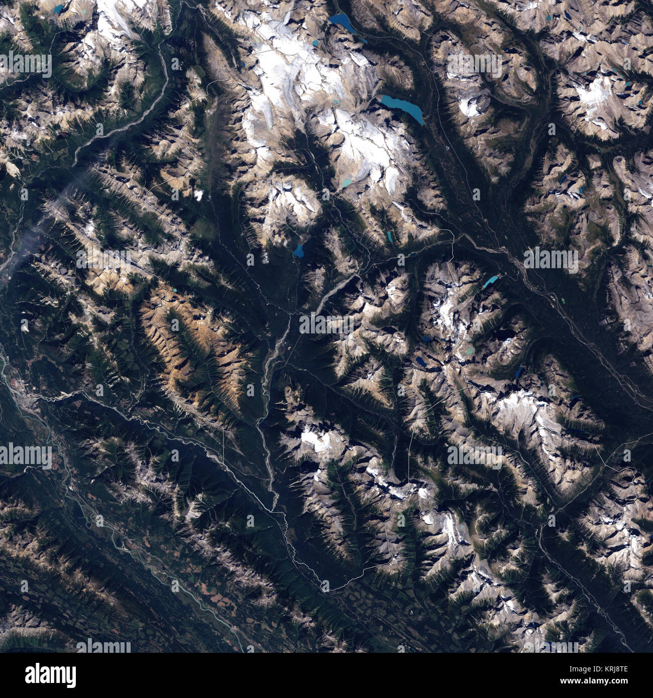 Burgess shale canada -Fotos und -Bildmaterial in hoher Auflösung – Alamy