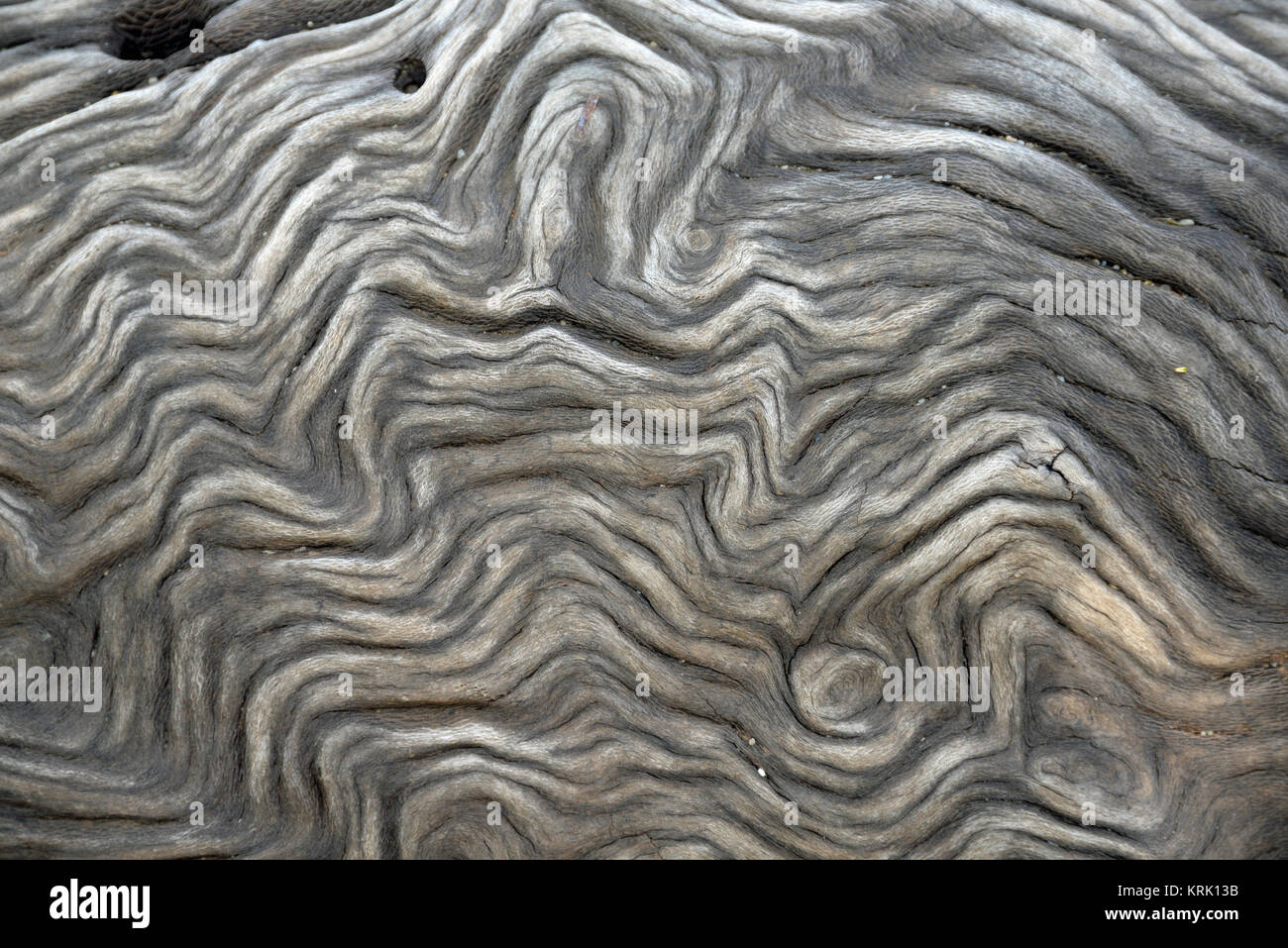Maserung, Holz, Maser, Form, Struktur, Natur, form, Baum, Baumstamm ...