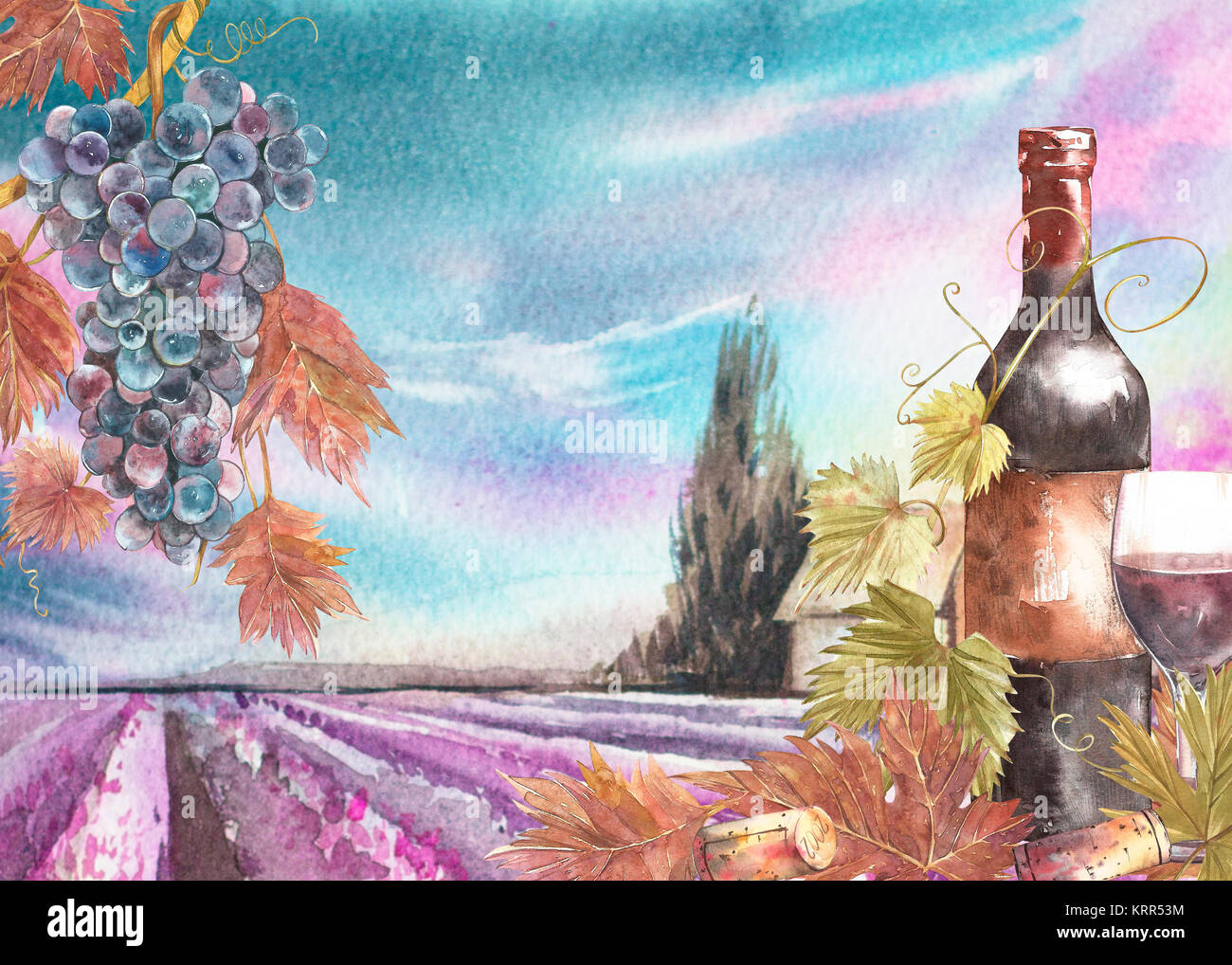 Flaschen und Blätter der Trauben. Hintergrund mit einem lavendelfeld ...