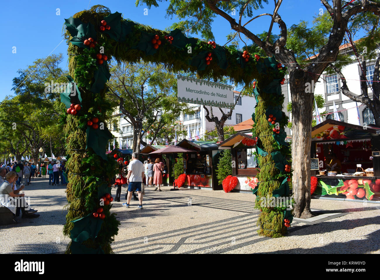 Avenida arriaga funchal madeira street -Fotos und -Bildmaterial in ...