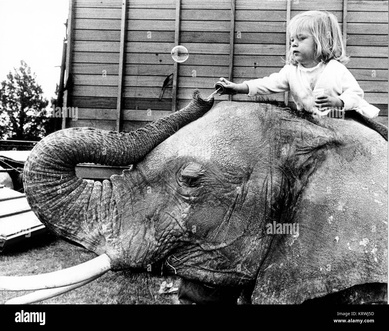 Sitzendes tier des kindes Schwarzweiß-Stockfotos und -bilder - Alamy