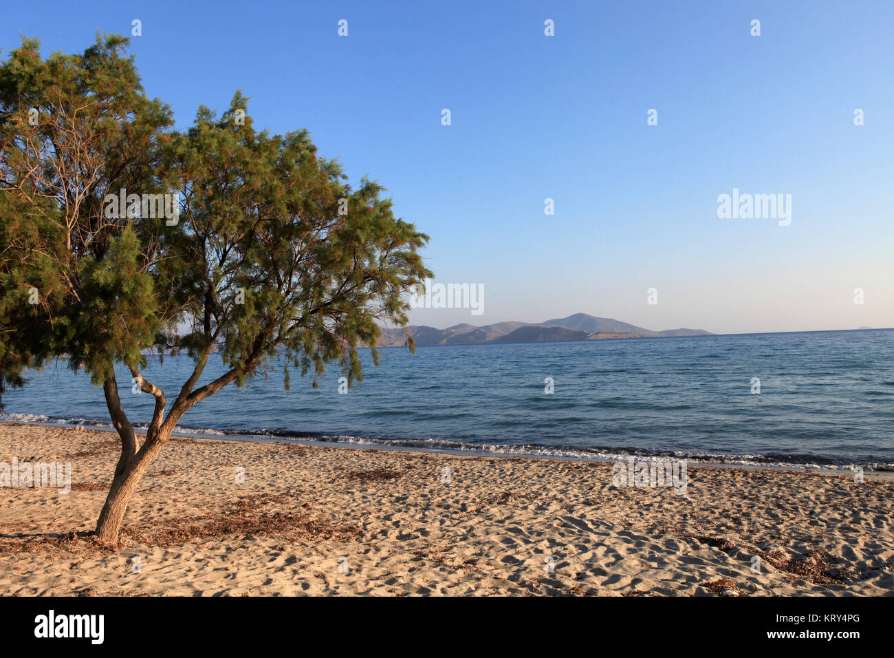 Griechenland. Die Insel Kos. Strand von Tigaki Stockfotografie - Alamy