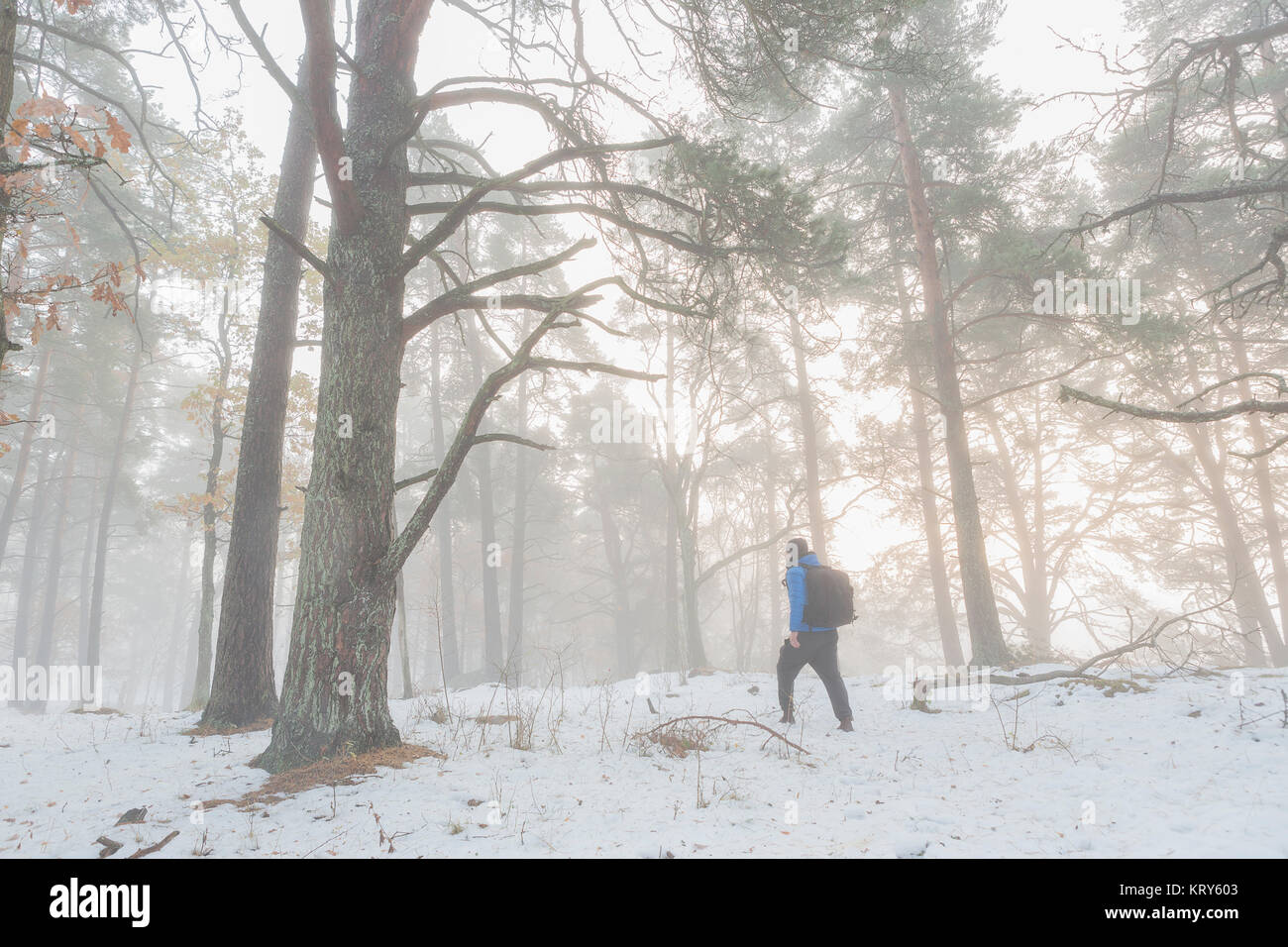 Weg Durch Die Natur Stockfotos und -bilder Kaufen - Alamy