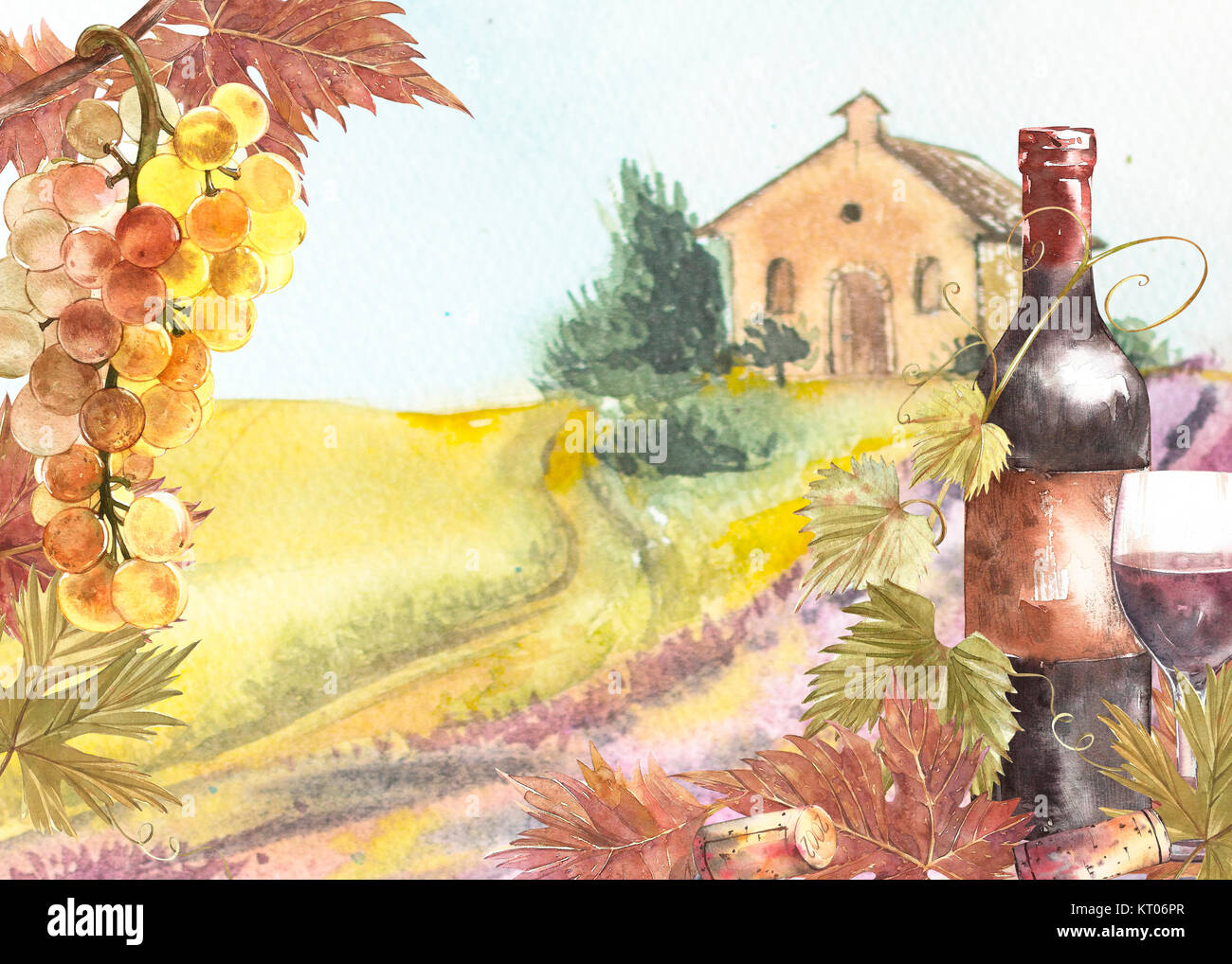 Flaschen und Blätter der Trauben. Hintergrund mit einem lavendelfeld ...