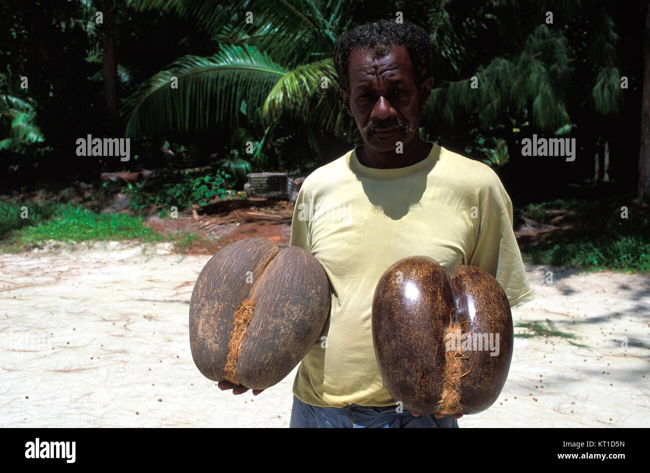 Coco De Mer Stockfotos und -bilder Kaufen - Alamy