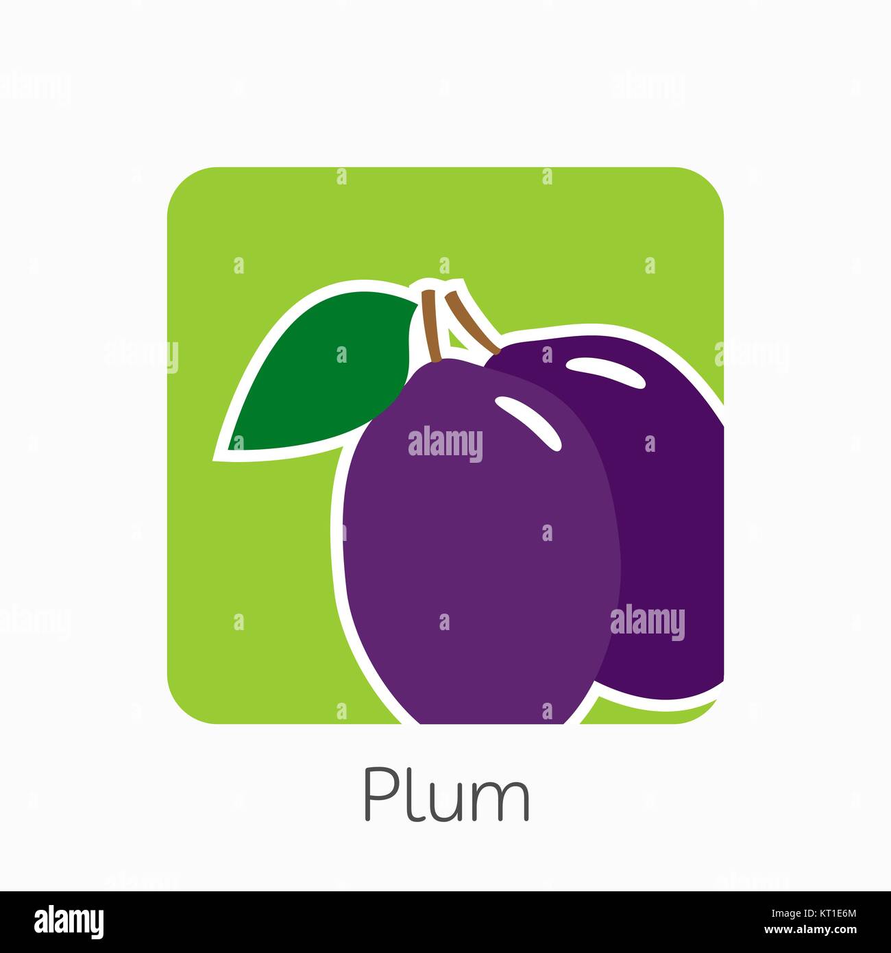 Pflaume Symbol einfache flache Vector Illustration. Frische Pflaume ...