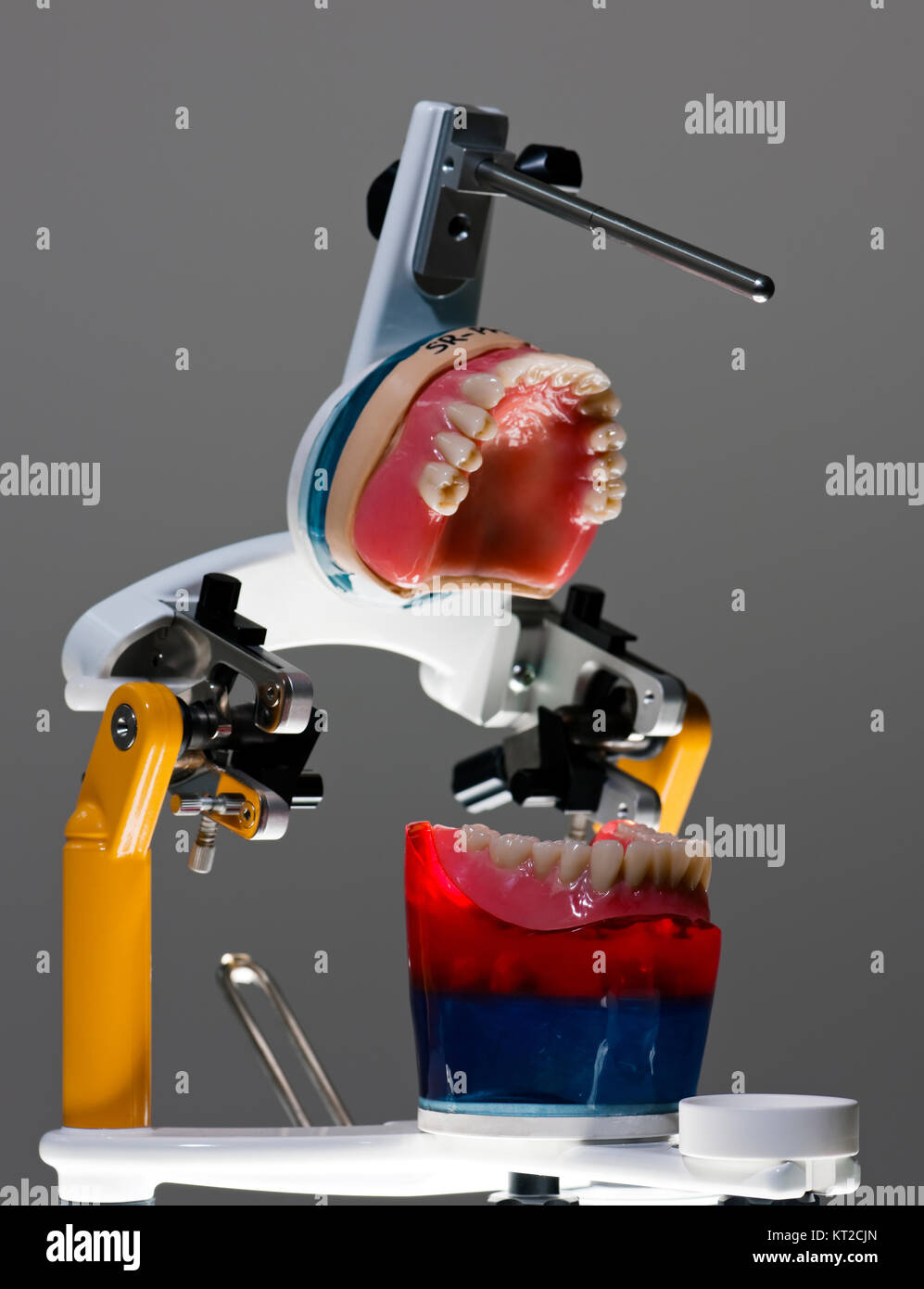 Plaque prothese -Fotos und -Bildmaterial in hoher Auflösung – Alamy