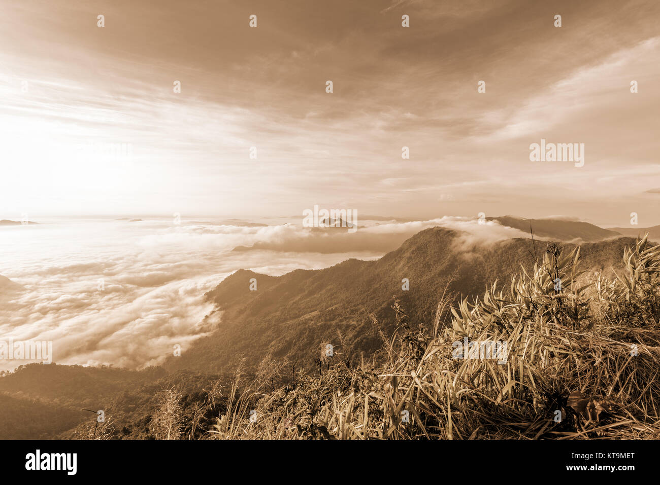 Sepia landschaft -Fotos und -Bildmaterial in hoher Auflösung – Alamy
