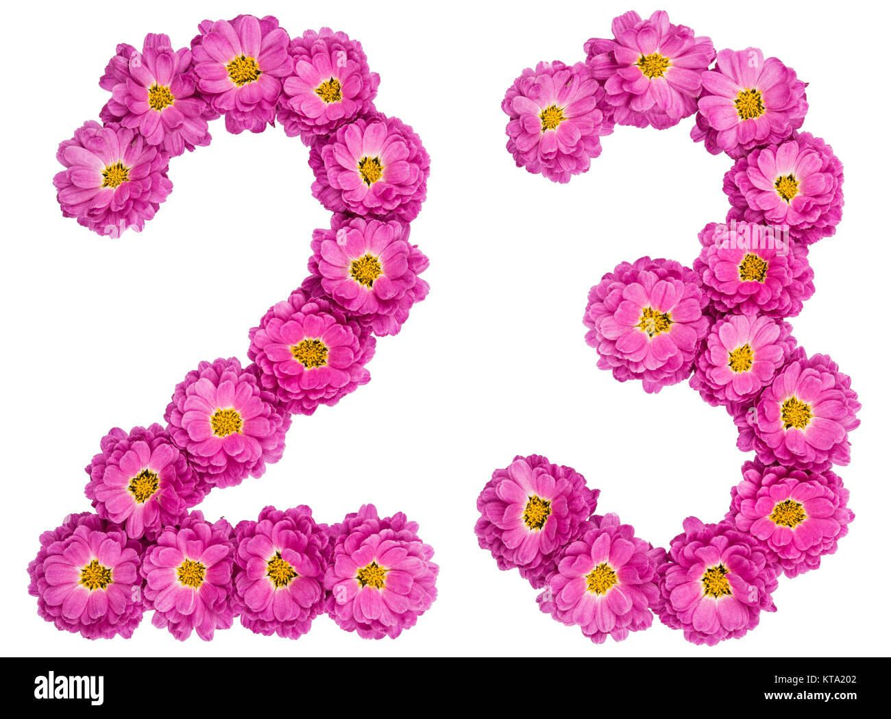 Arabische Zahlen 23, 23, von Blumen der Chrysantheme, auf weißem ...
