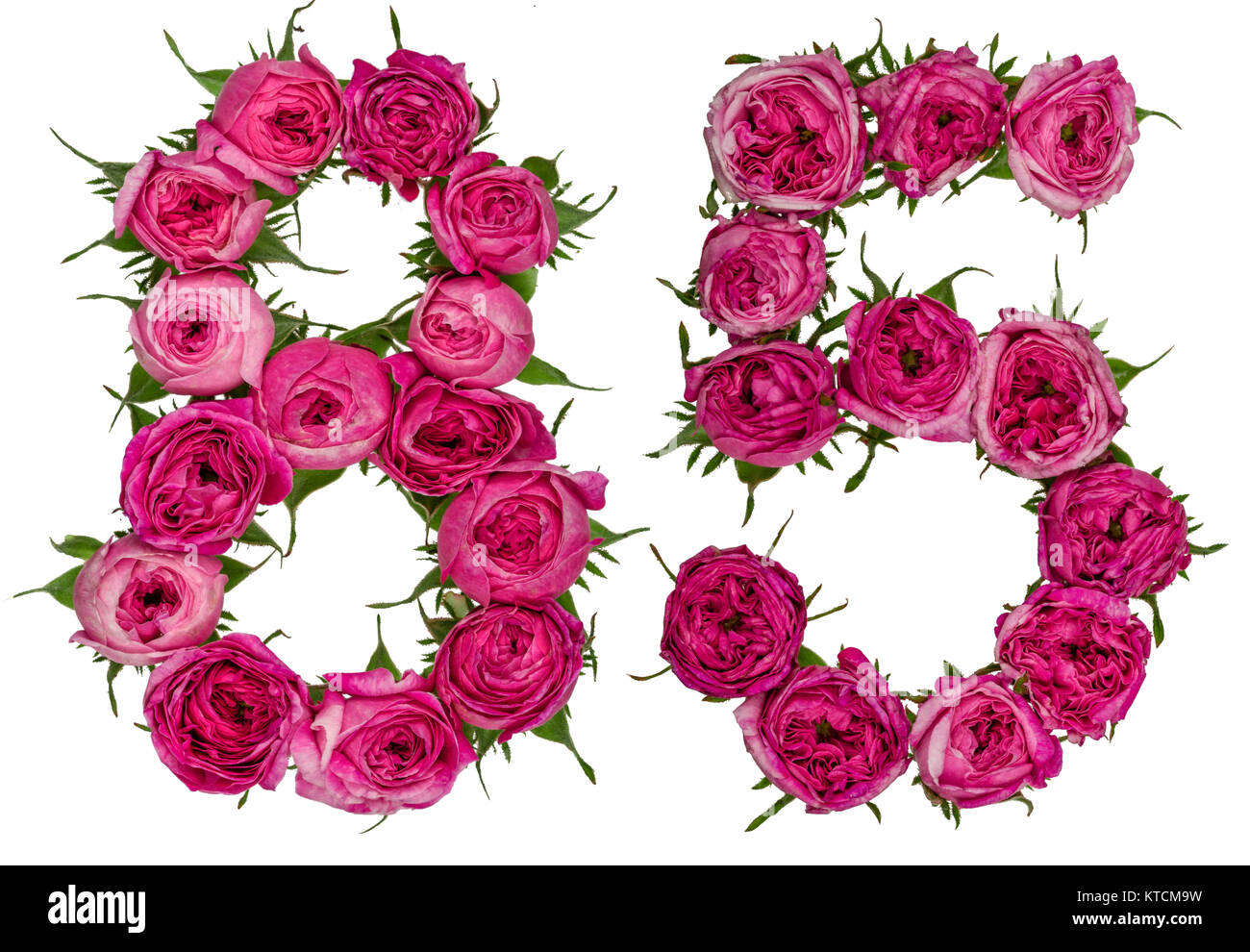 Arabische Zahl 85, 80-85, von roten Blüten der Rose, auf weißem ...