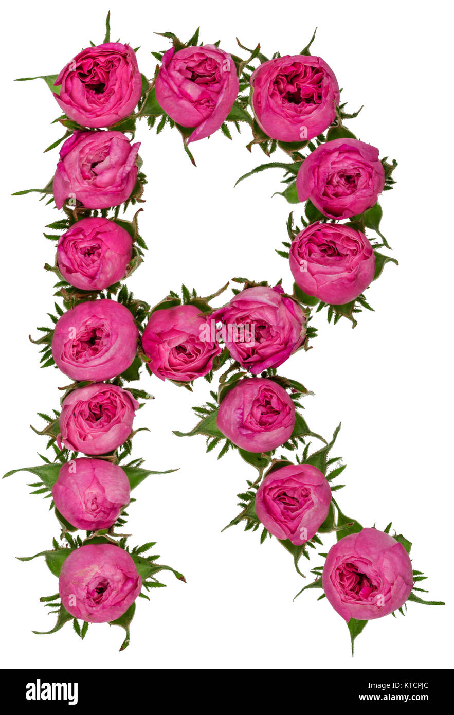 Buchstabe R Alphabet aus Blüten von Rosen, auf weißem Hintergrund ...