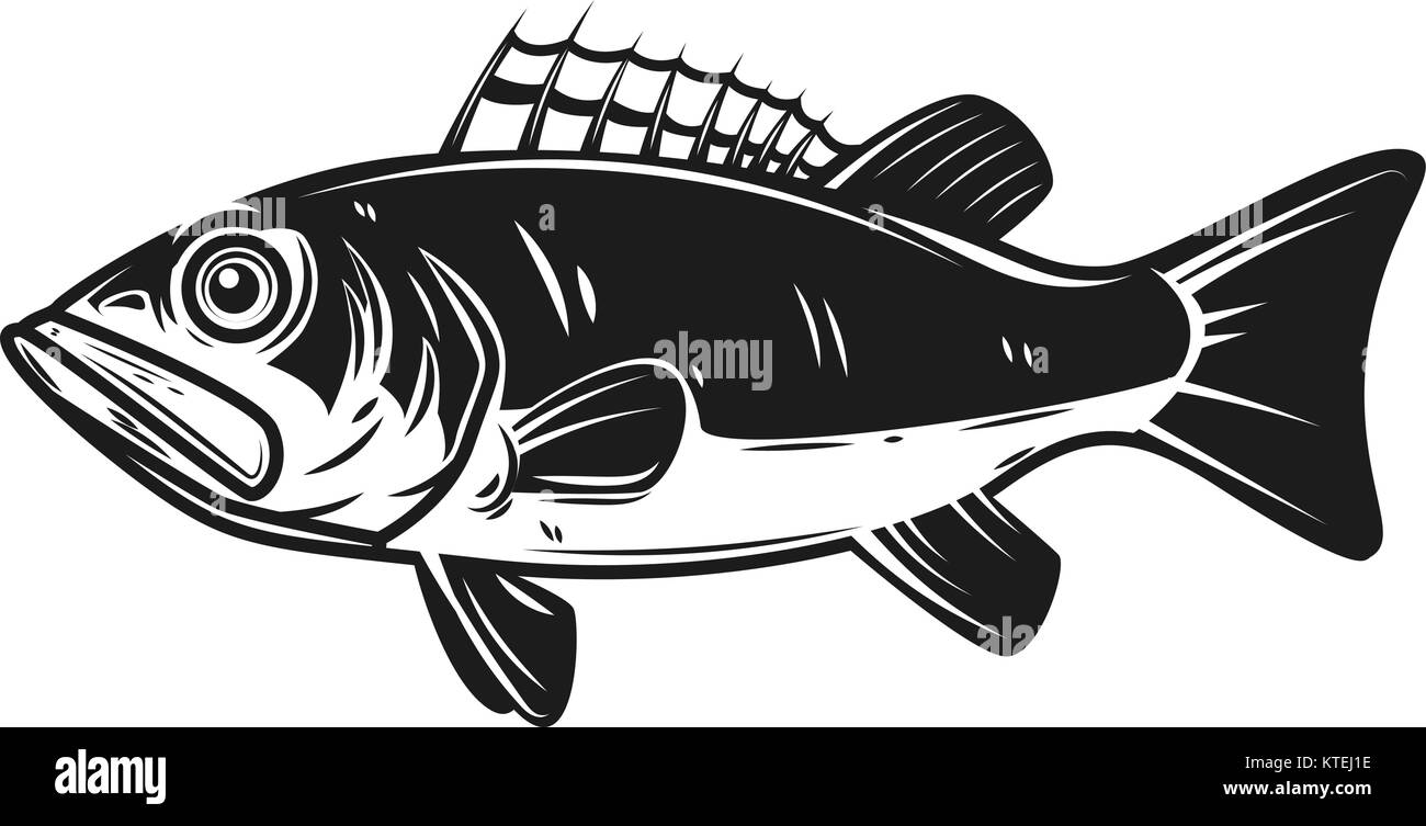 Seebarsch Symbol. Barsch Abbildung. Design Element für Logo, Label ...