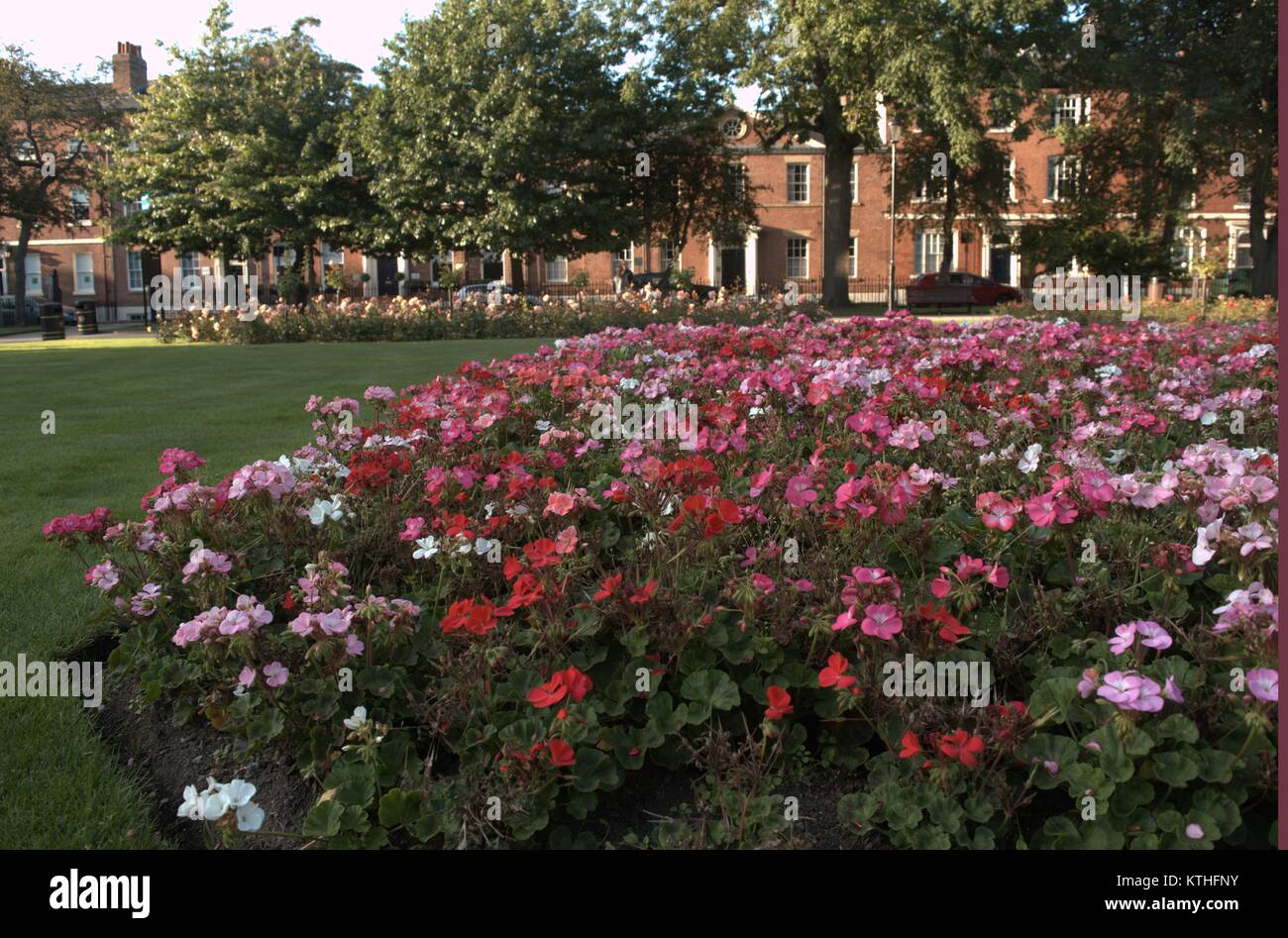 Leeds rosen -Fotos und -Bildmaterial in hoher Auflösung – Alamy