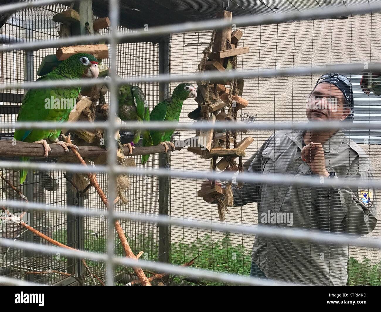 Iguaca voliere -Fotos und -Bildmaterial in hoher Auflösung – Alamy