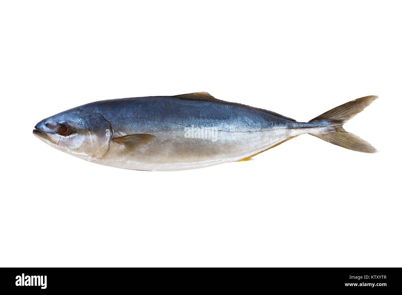 Thunfisch fischerboot Ausgeschnittene Stockfotos und -bilder - Alamy