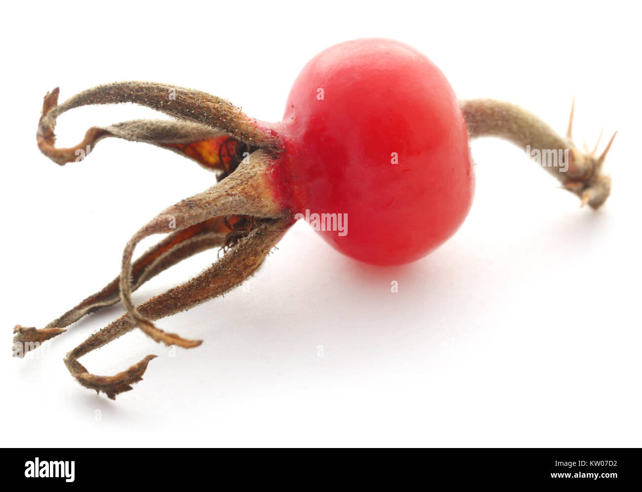 Rosen strand Stockfotos und -bilder Kaufen - Alamy