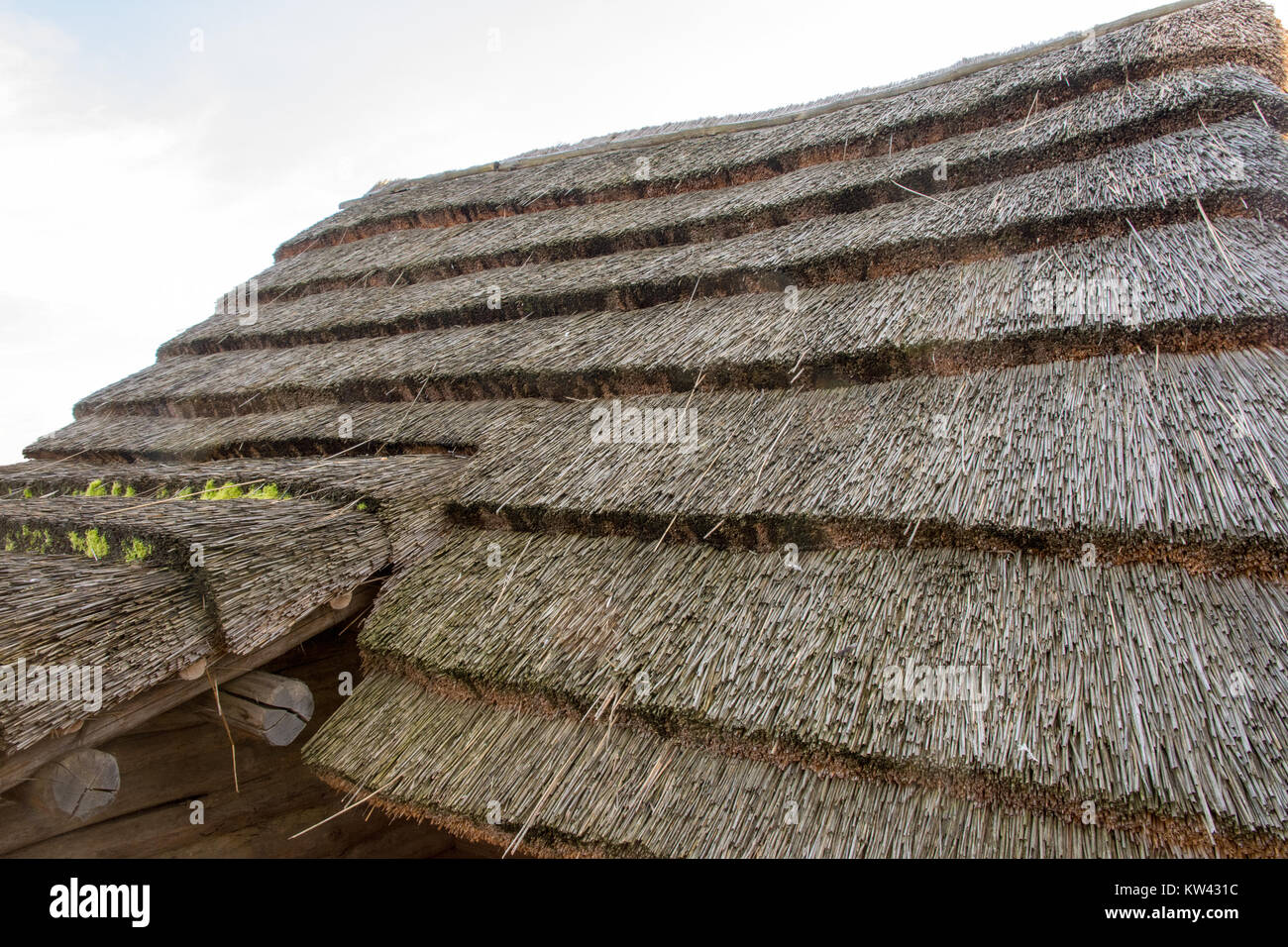 Das dach besteht aus stroh -Fotos und -Bildmaterial in hoher Auflösung ...
