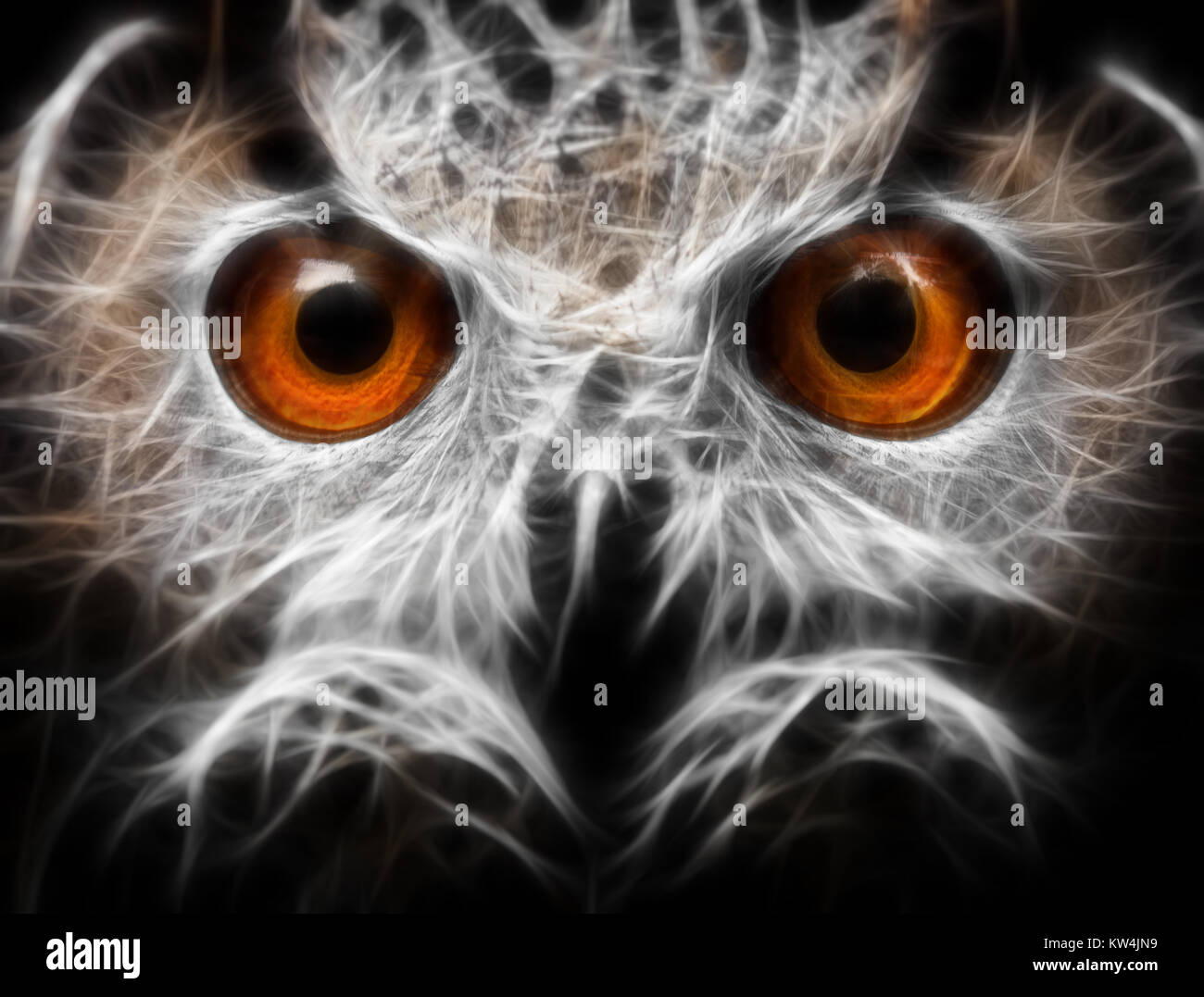 Eulen Portrait. Eule Augen - abstrakte Malerei, Fraktal Stockfotografie ...