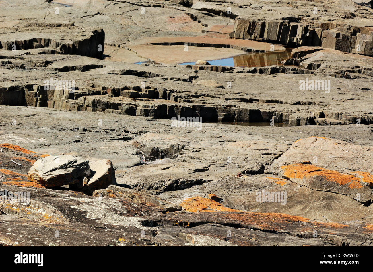 Devonport bluff -Fotos und -Bildmaterial in hoher Auflösung – Alamy