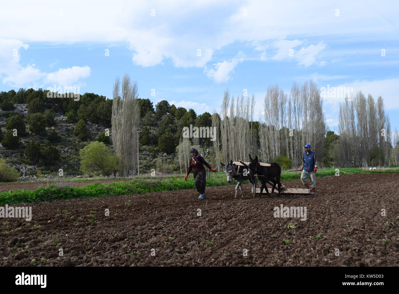 Esel und pflug -Fotos und -Bildmaterial in hoher Auflösung – Alamy