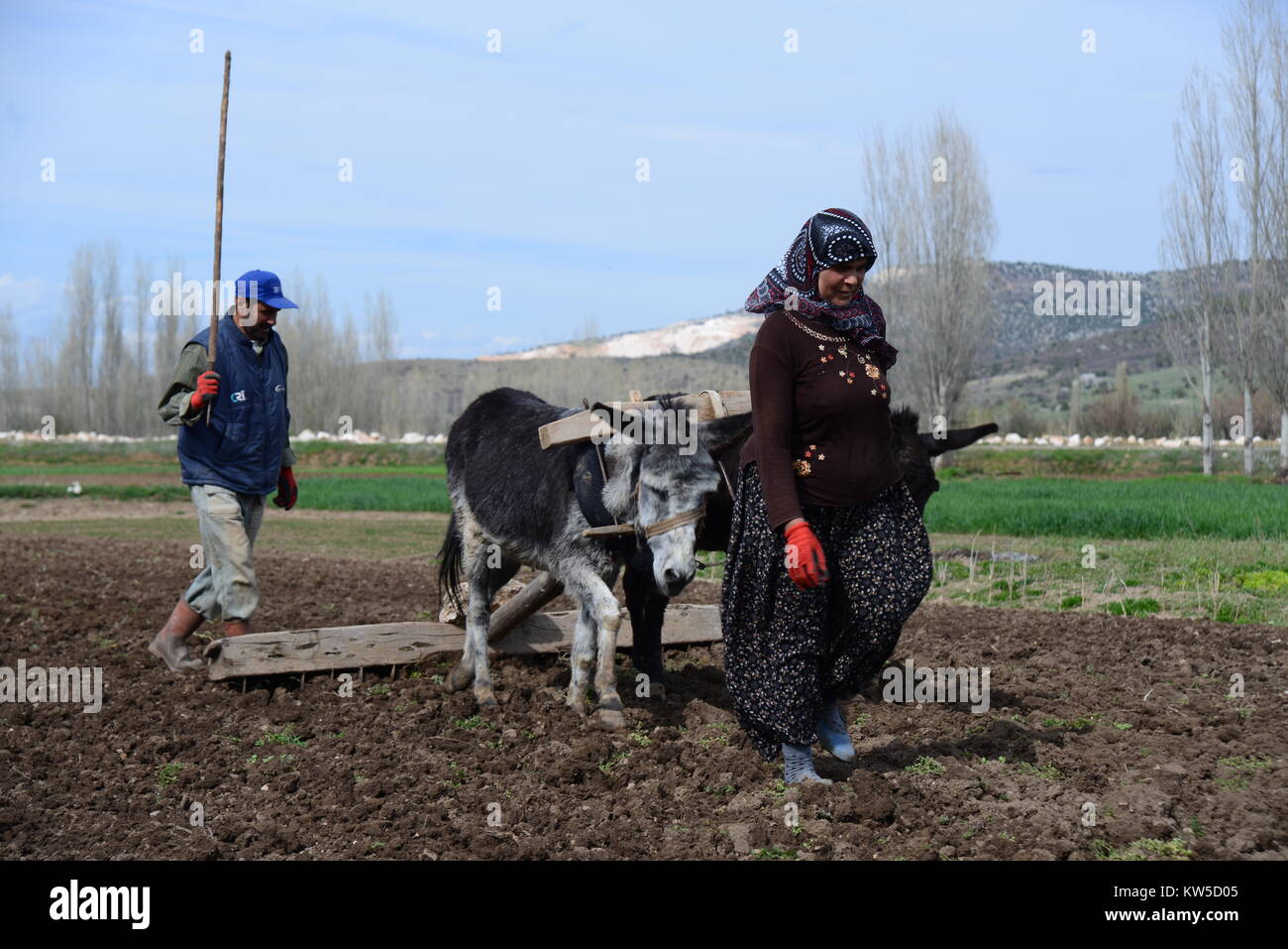 Esel und pflug -Fotos und -Bildmaterial in hoher Auflösung – Alamy