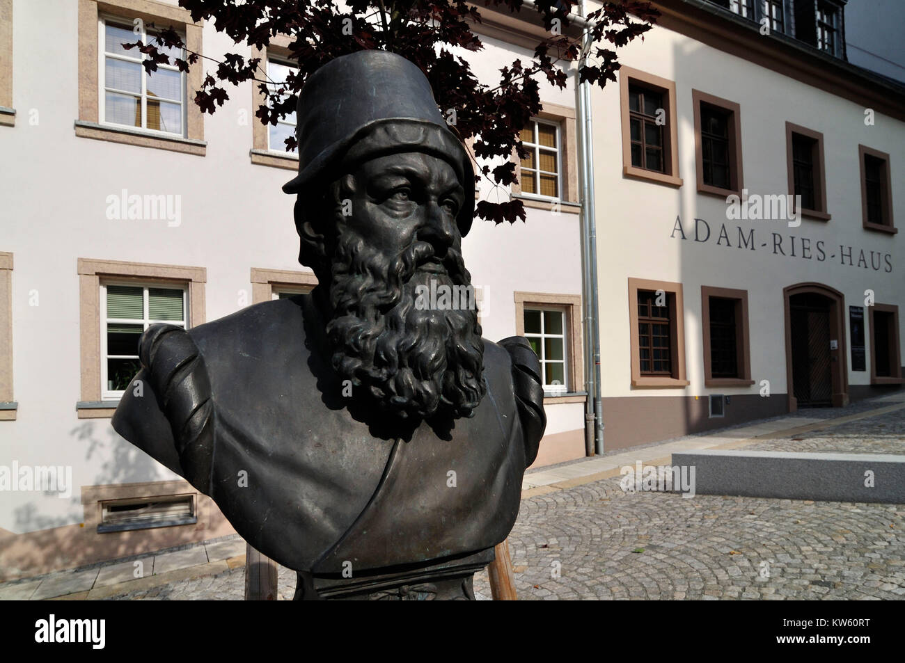 Spur johannis -Fotos und -Bildmaterial in hoher Auflösung – Alamy