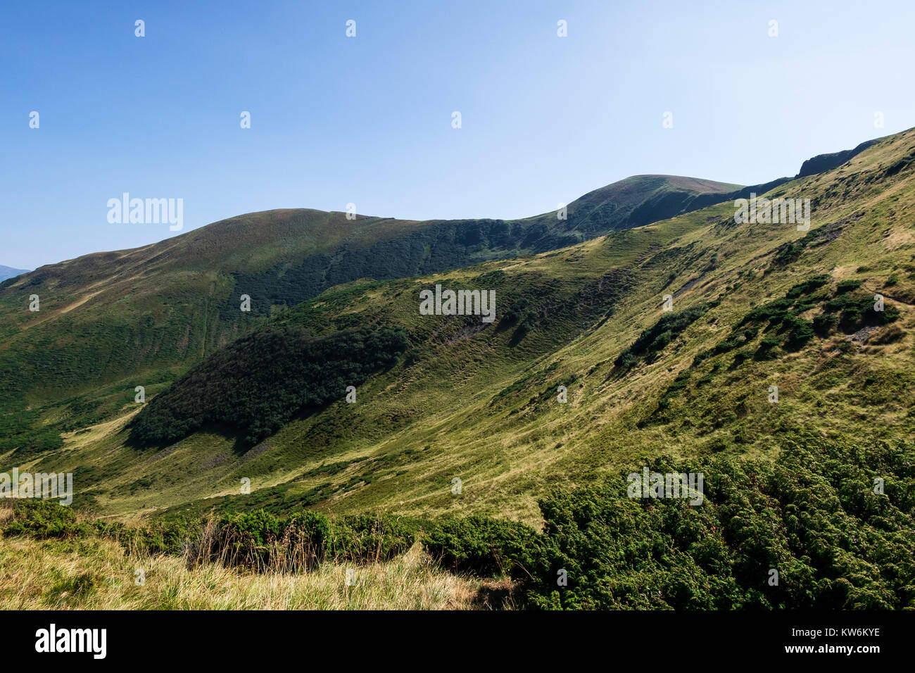 Pisten der Karpaten mit dichter Vegetation (Ukraine, Karpaten ...