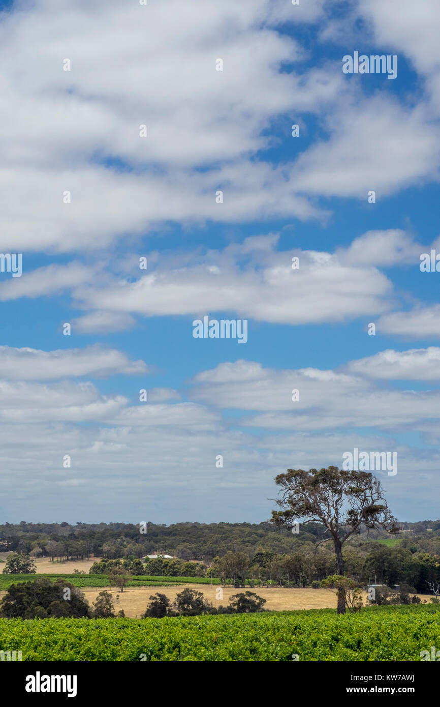 Cumulus humilis clouds -Fotos und -Bildmaterial in hoher Auflösung – Alamy