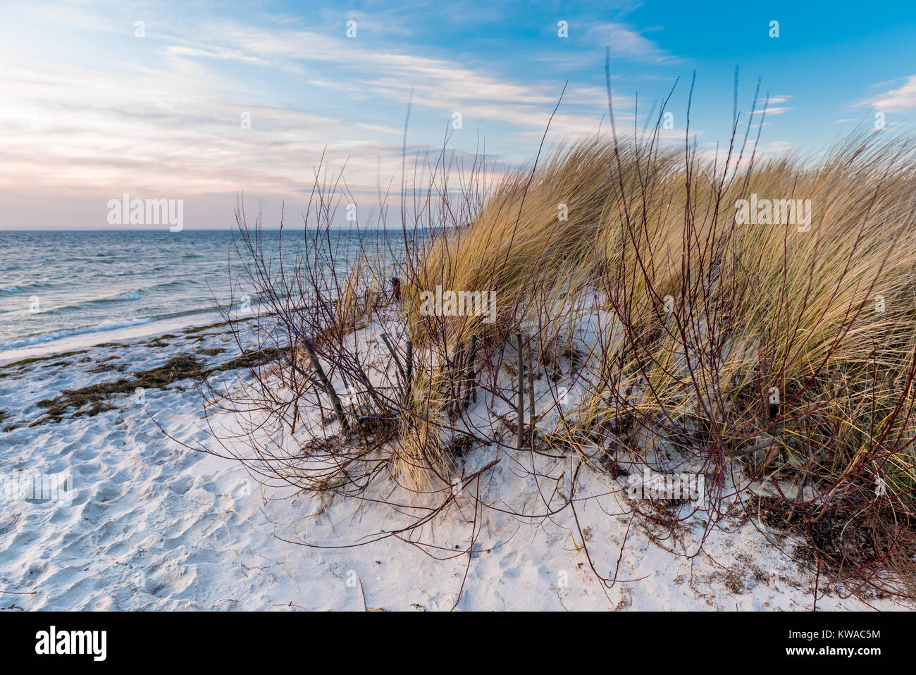 Dünen am Strand der Ostsee. Halbinsel Hel. Polen Stockfotografie - Alamy