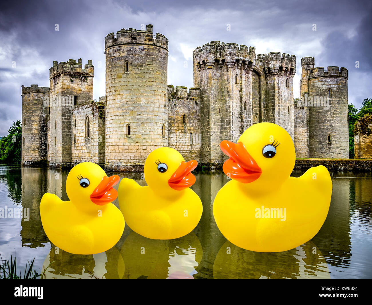 Gummiente teich -Fotos und -Bildmaterial in hoher Auflösung – Alamy